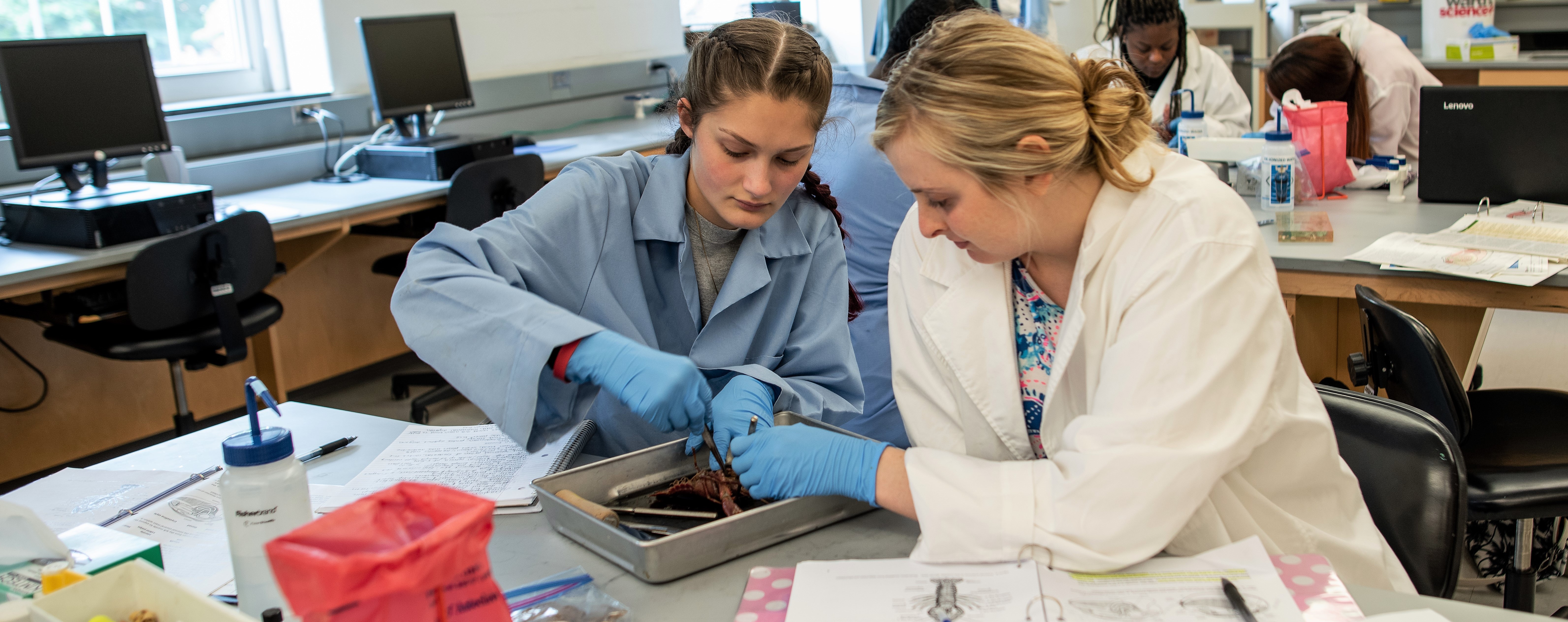 Student Opportunities | Hood College